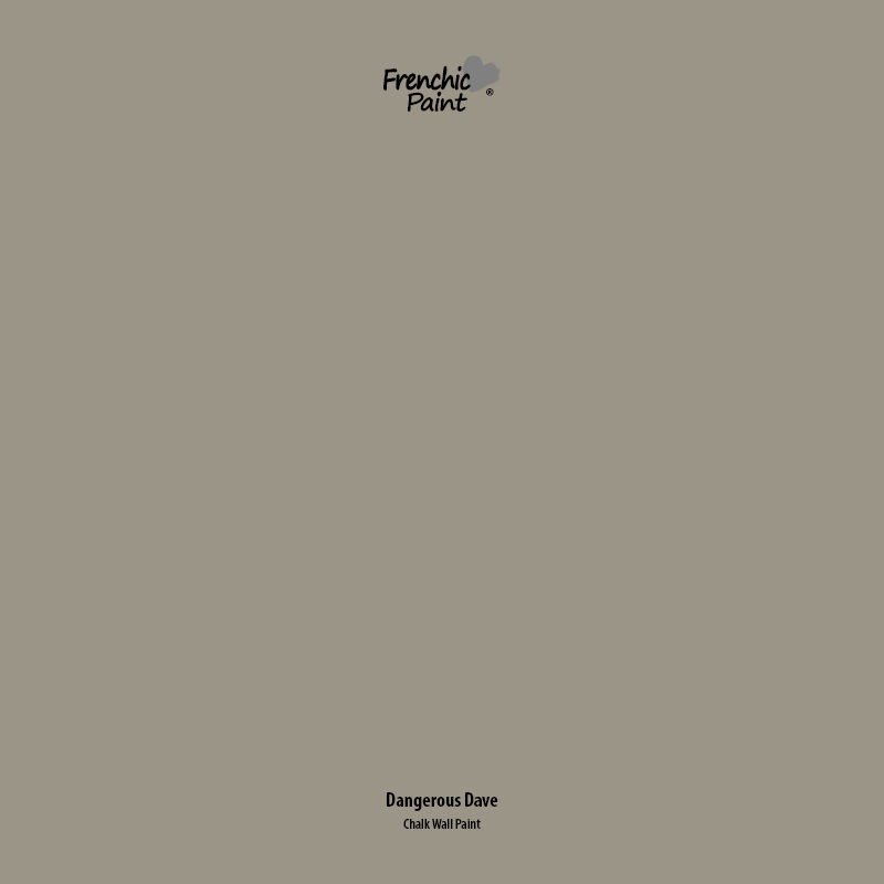 Dangerous Dave - Peel & Stick Paint Sample – No 96 Home and Gifts