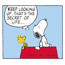 Snoopy Secret Of Life – No 96 Home and Gifts